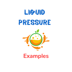 Properties of Liquid Pressure| Real Life Examples - What's Crux